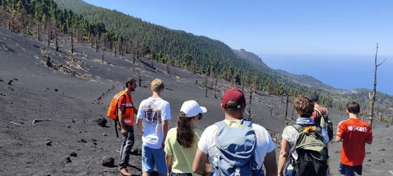 Tajogaite Volcano VIP Experience: Private Tour with a Certified Guide - FAQ