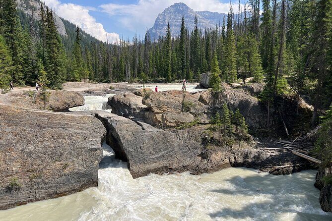 Takakkaw Falls Yoho National Park Bus Tour - Final Thoughts: Who Should Consider This Tour?