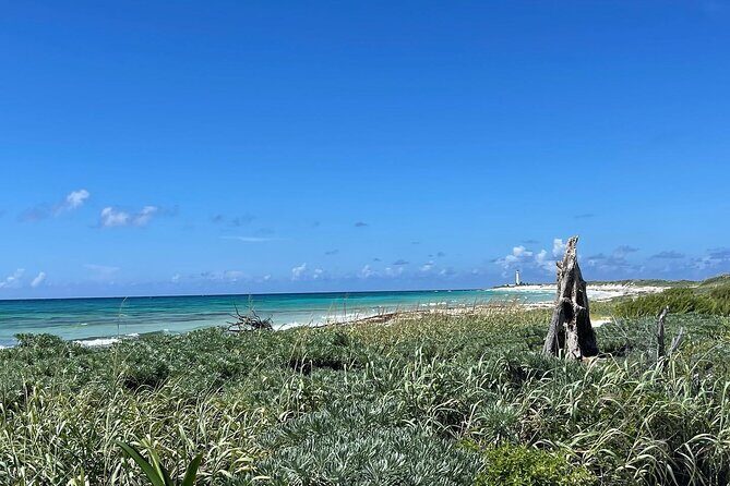Take a Ride in your Buggie in Cozumel only from Tulum - Who Should Book This Tour?