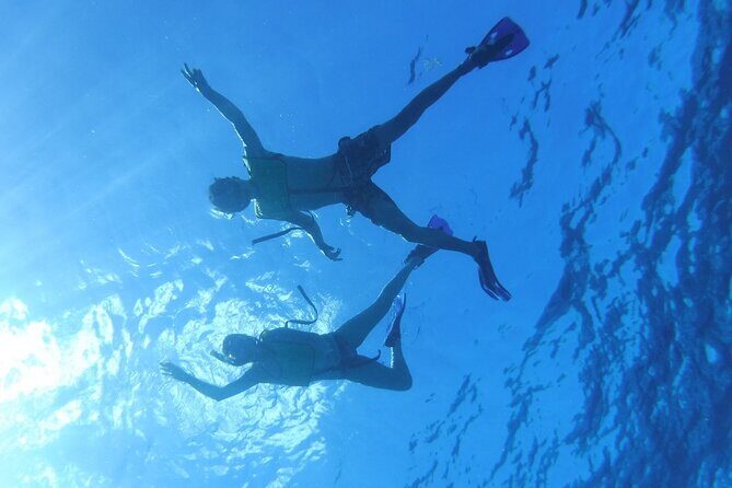 Take a Ride in your Buggie in Cozumel only from Tulum - FAQs