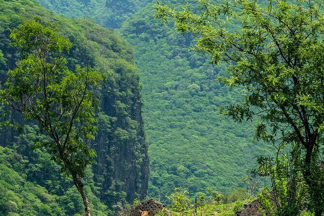 Take an Adventure to a Secret Swimming Spot - Practical Details and What You Should Know