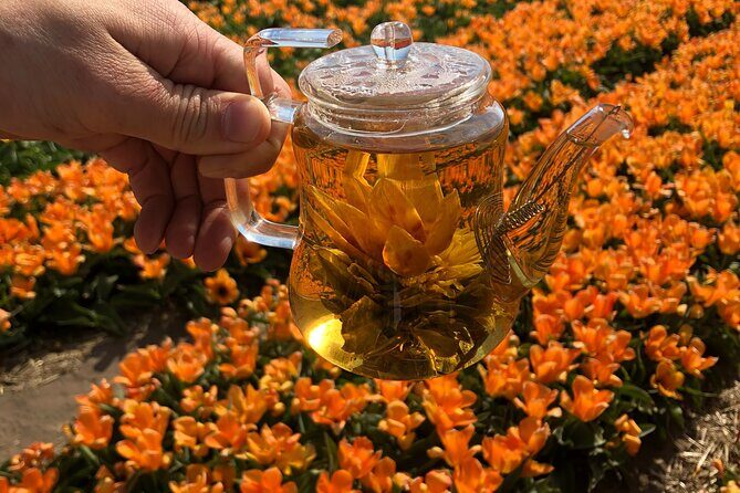 Taking Pictures in the Tulip Field at De Tulperij - Final Thoughts