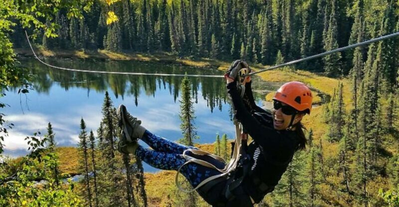 Talkeetna: Denali Zipline Tours - Key Points