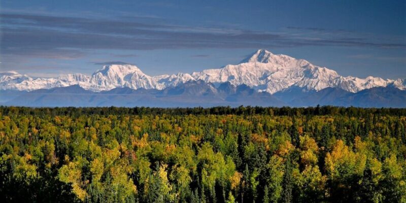 Talkeetna: Denali Zipline Tours - Who Will Love This Tour?