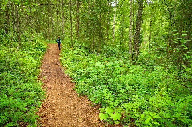 Talkeetna Lakes Hike Guided by a Naturalist - The Sum Up