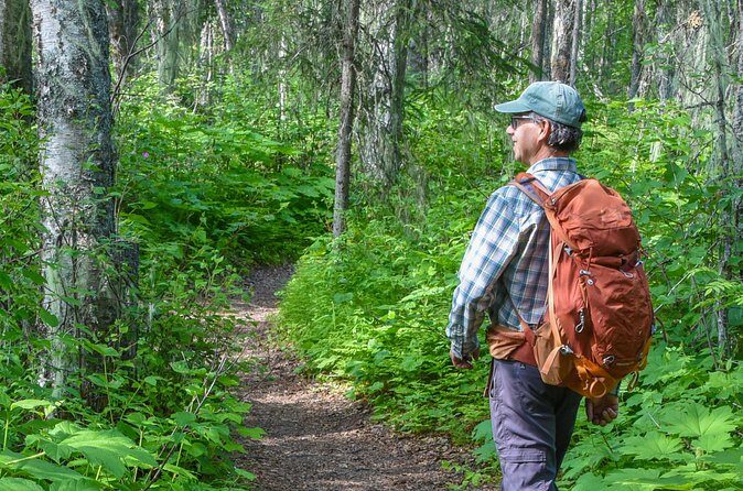 Talkeetna Lakes Hike Guided by a Naturalist - FAQs