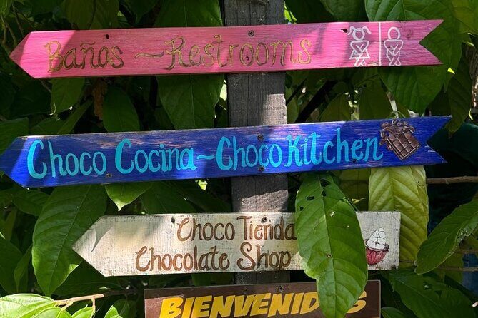 Taller de Cacao Todo Incluido - The Sum Up: Who Should Book This Tour?