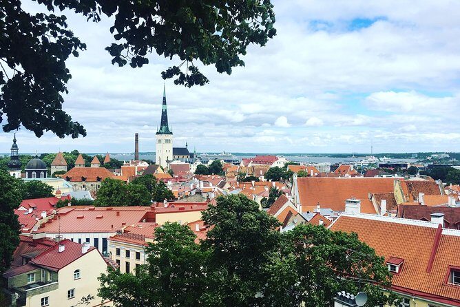 Tallinn Day Tour from Helsinki (Ferry Tickets+ Guiding+ Own Time) - Final Thoughts: Who Will Love This Tour?