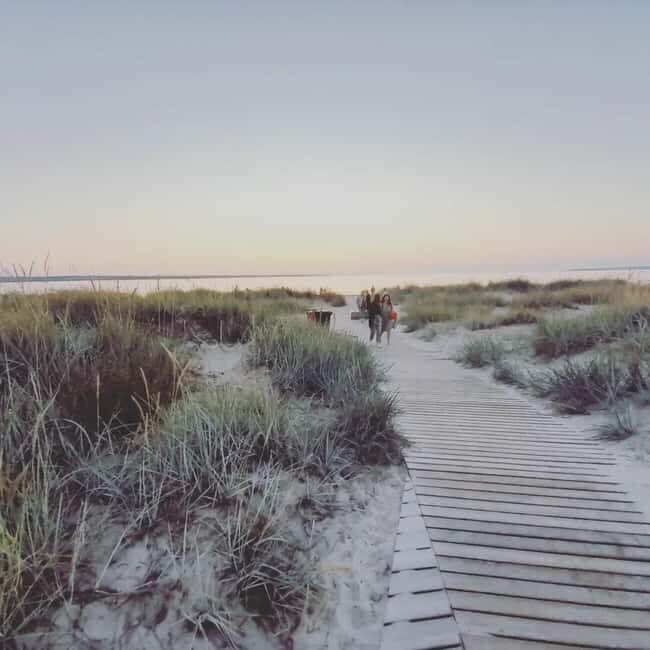 Tallinn: Pakri landscape conservation park and coast 5h - Key Points