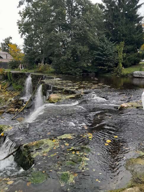 Tallinn: Pakri landscape conservation park and coast 5h - Who Should Consider This Tour?