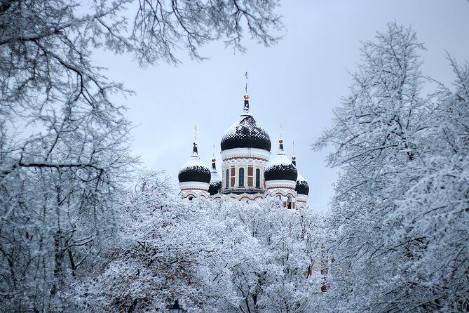 Tallinn Top Attractions and Viimsi Open Air Museum - Who Would Love This Tour?