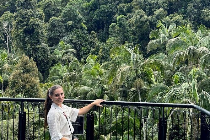 Tamborine Explorer from Brisbane - Key Points  