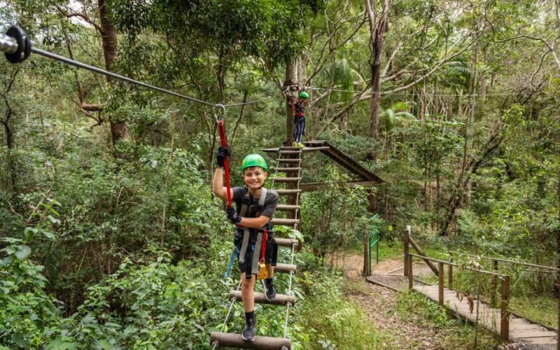 Tamborine Mountain: TreeTop Challenge Adrenaline Pass - Review of Tamborine Mountain: TreeTop Challenge Adrenaline Pass