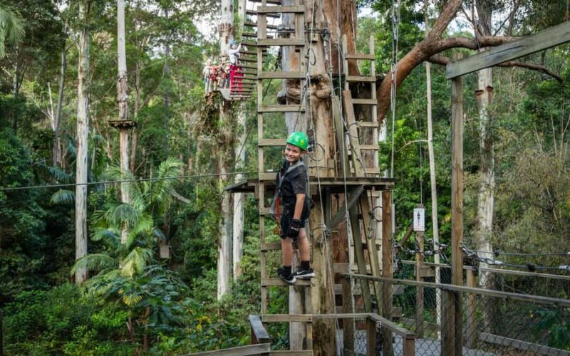 Tamborine Mountain: TreeTop Challenge Adrenaline Pass - Key Points