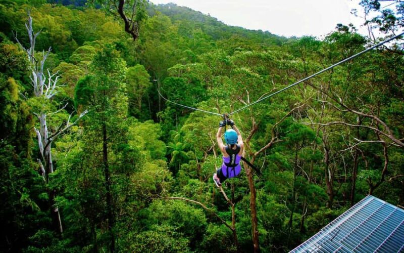 Tamborine Mountain: TreeTop Challenge Adrenaline Pass - The Value of the Experience