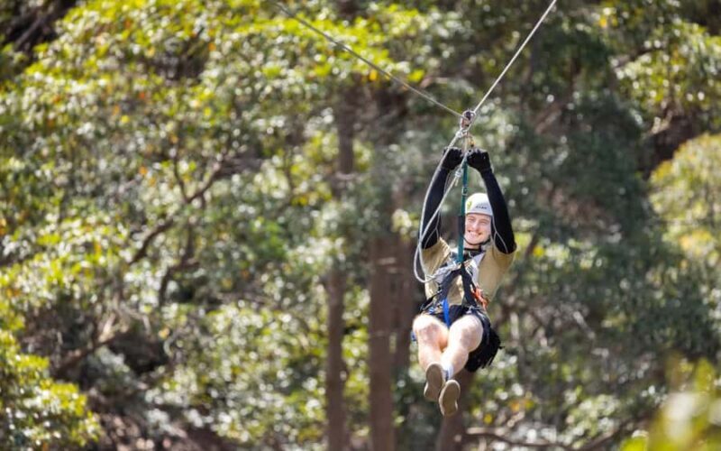 Tamborine Mountain: TreeTop Challenge Adrenaline Pass - FAQ
