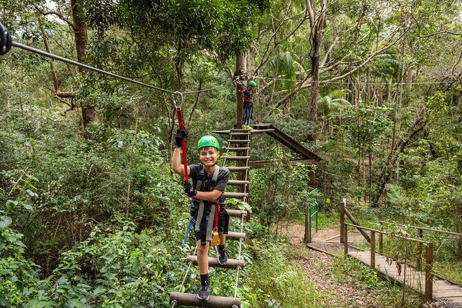 Tamborine Mountain TreeTop Challenge Adventure Park - The Experience at a Glance