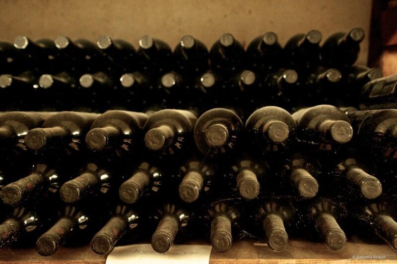Tamburini Wine Tour and Tasting - The Itinerary: A Deep Dive into Tuscan Winemaking