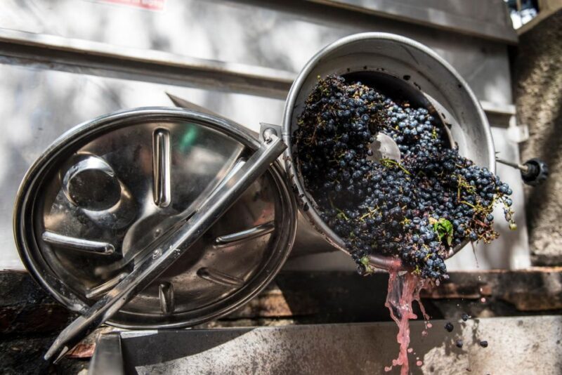Tamburini Wine Tour and Tasting - The Sum Up: Is It Worth It?