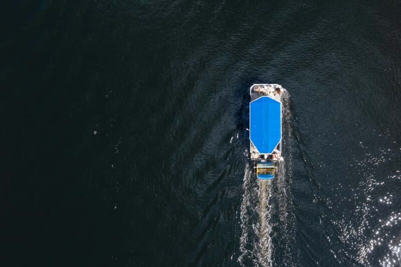 Tampa: 2 hour Paddle Pub River Cruise - FAQ