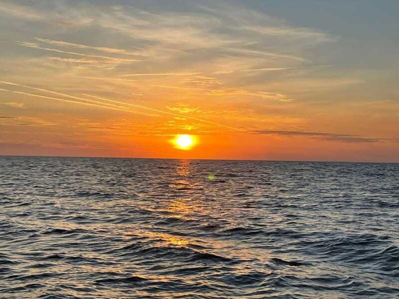 Tampa Bay: Sunset Cruise with Celebrity Homes and Wildlife - Final Thoughts: Is It Worth It?