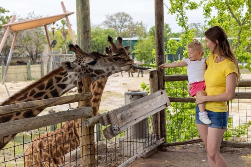 Tampa: ZooTampa at Lowry Park Ticket with After Hours Option - Key Points