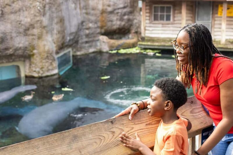 Tampa: ZooTampa at Lowry Park Ticket with After Hours Option - Final Thoughts: Is ZooTampa Worth It?