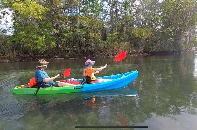 Tandem Kayak Rental for Kings Bay Three Sisters Springs - Final Thoughts