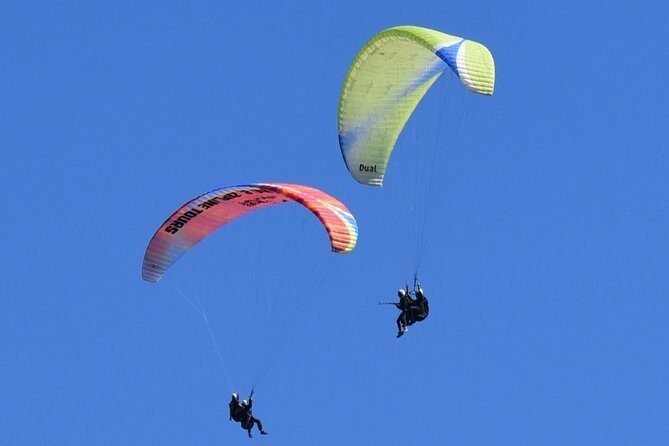 Tandem Paragliding Flights from Vik - The Sum Up