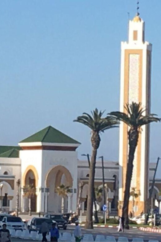 Tánger: Full- Day Tour from la Costa del Sol - Who Should Consider This Tour?