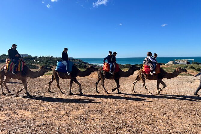 Tangier 1 Day Guided Tour with Transportation - Key Points