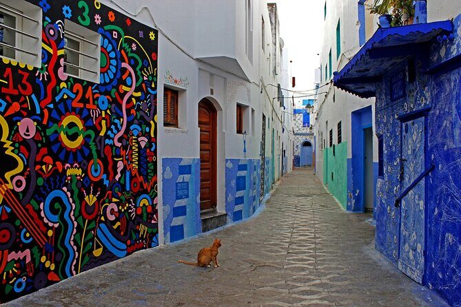 Tangier & Asilah Private Tour with from Malaga or Marbella - What Makes This Tour Stand Out?