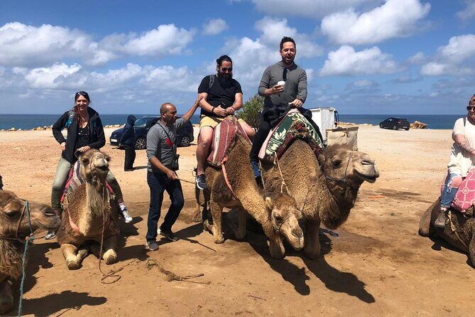 Tangier Day Trip from Seville - Authentic Experiences That Shine