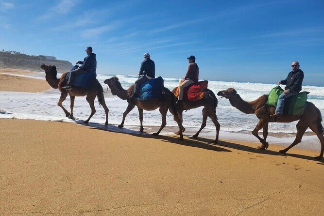 Tangier Luxury Private Day Tour From Tarifa including Camel ride - An Authentic Full-Day Journey from Tarifa to Tangier