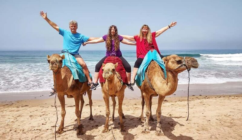 Tangier Private Half-Day Tour + Camel Ride + Add-on: Lunch - A Detailed Look at the Experience