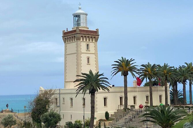 Tangier Private Tour from Marbella Including Camel Ride & Lunch - Final Thoughts  