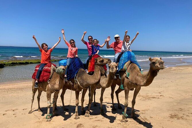 Tangier Private Tour from Tarifa with Express Ferry - Final Thoughts