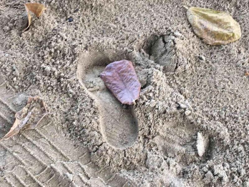 Tanoa Waterfront Hotel to Natadola Beach Round Trip - Authentic Traveler Insights