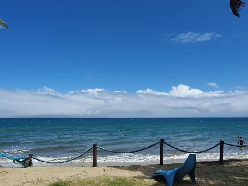 Tanoa Waterfront Hotel to Natadola Beach Round Trip - What to Expect on the Day