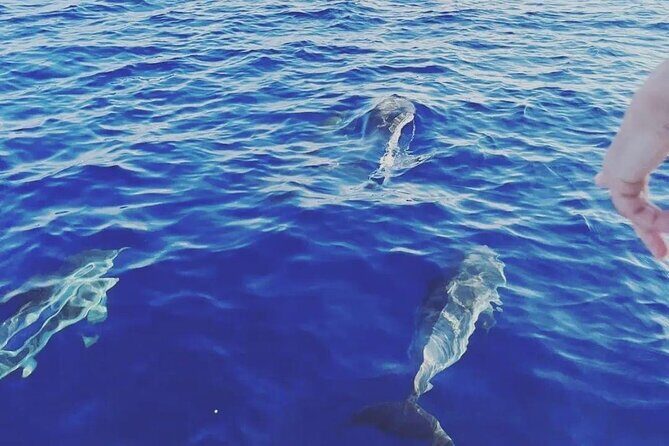 Taormina Dolfin 2-hour boat tour - Who Should Consider This Tour?