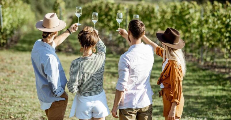 Taormina: Guided Etna Wine Tasting Half-Day Tour - Key Points