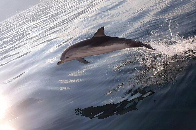 Taormina Sunset Aperitif on-Board - Authentic Guest Insights