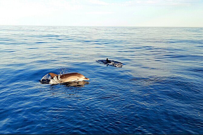 Taormina Sunset Aperitif on-Board - Who Will Love This Experience?