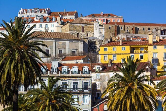 Tapas And Tascas: Private Food Tasting Experience In Lisbon - An In-Depth Look at the Private Food Tasting Tour in Lisbon