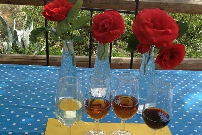 Tapas & Sherry an Andalucian Gourmet Experience. - Practical Details & Tips