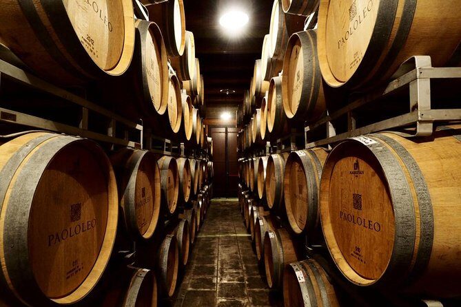 TARALVINO - Cantine Paololeo - Final Thoughts: Is It Worth It?