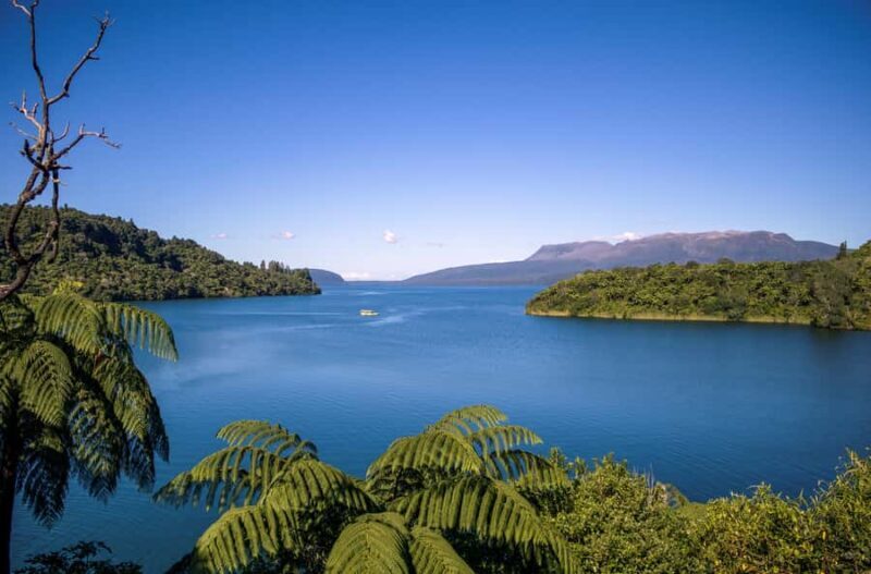 Tarawera and Lakes 2-Hour Duck Eco Tour - Introduction: A Fun and Informative Way to Discover Rotorua’s Lakes