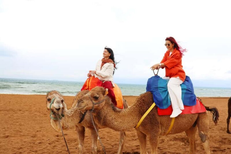 Tarifa: Day trip to Tangier by ferry with lunch and tour guide - Culture and Markets: Medina and Souks