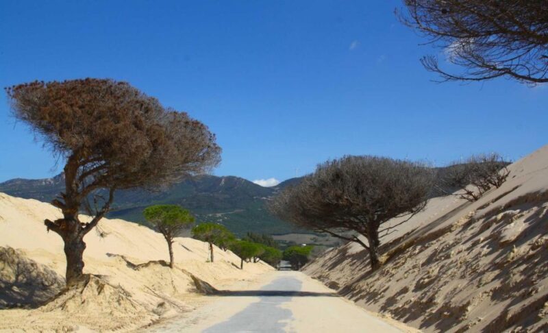 Tarifa: Ebike Rental Ruta del Estrecho - Who Should Consider This Experience?