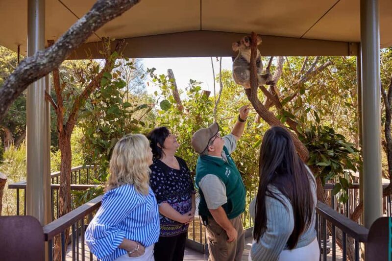 Taronga Zoo Sydney Wild Australia Experience - FAQs
